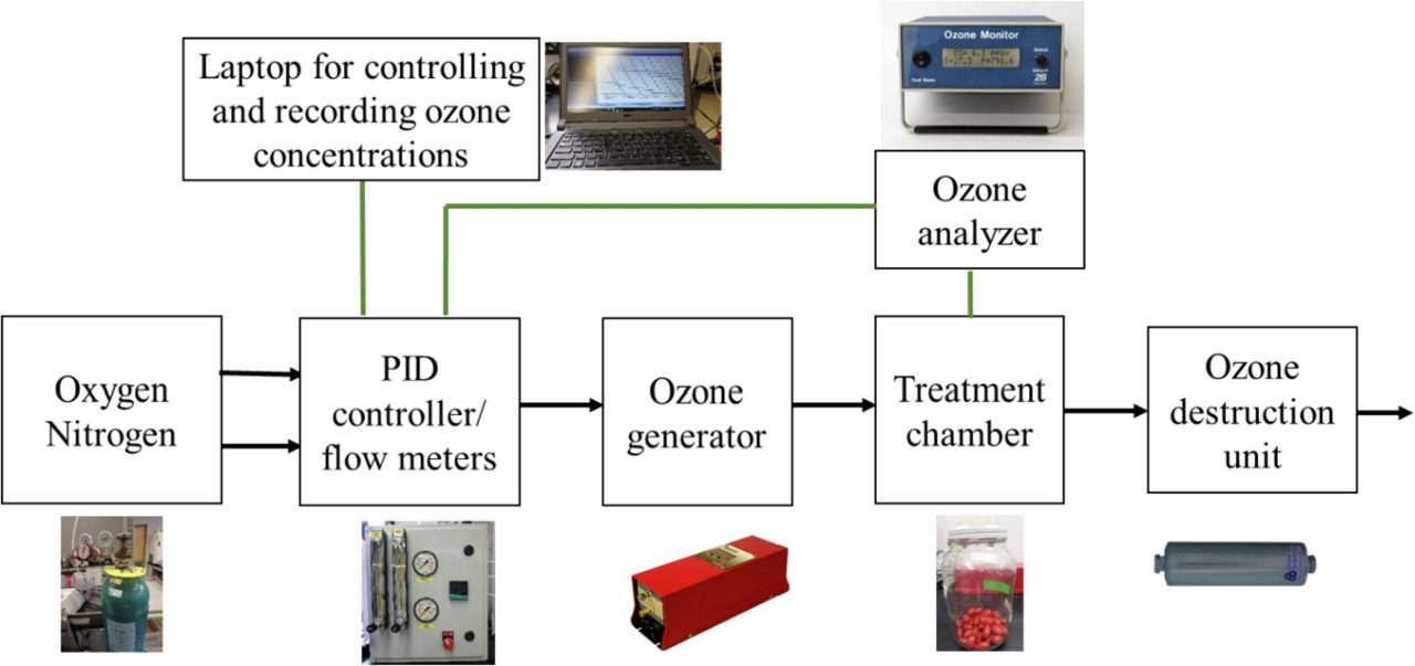 The Effect of High Ozone Treatment on Food Safety and Quality of Grape ...